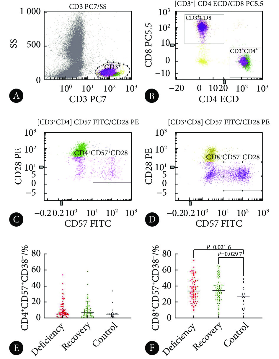 HIV-1感染者治疗后的T淋巴细胞异常激活研究