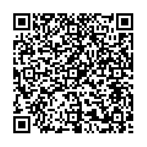 慢病毒转染脐血CD34 + 造血干细胞方法的优化