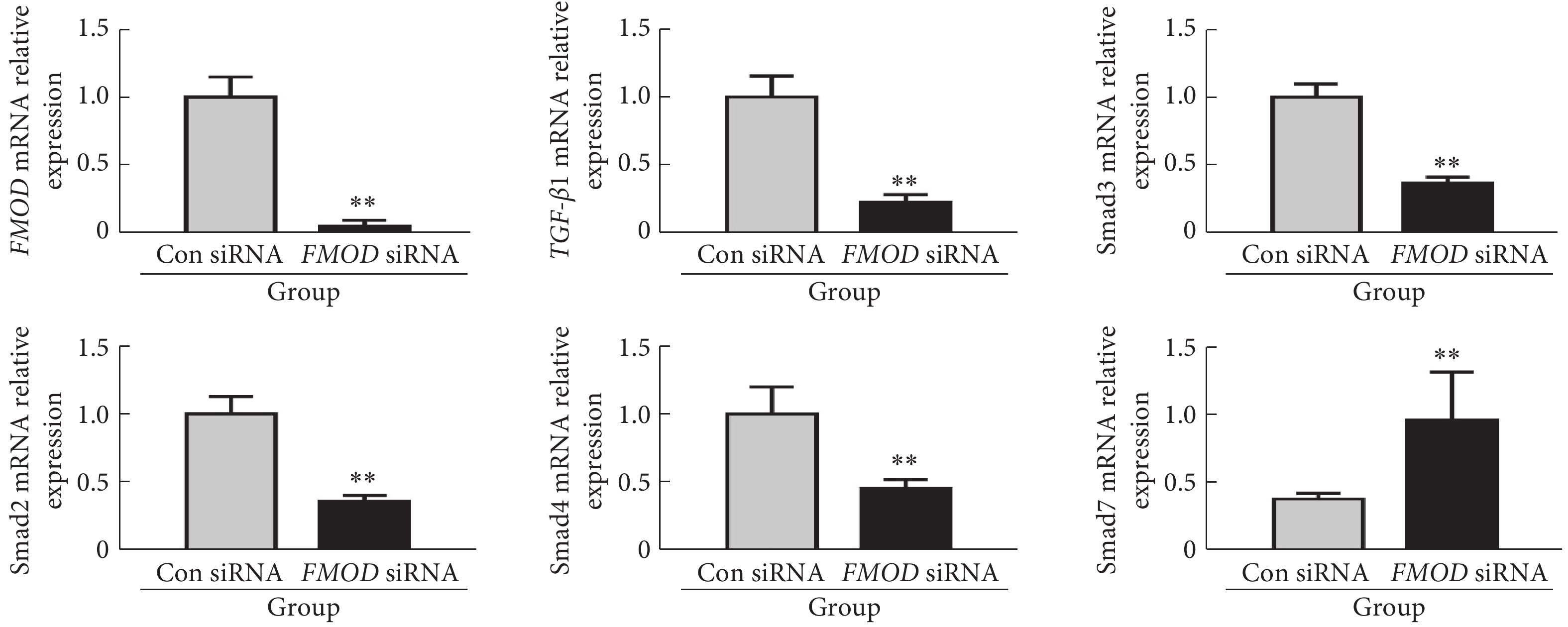 沉默 FMOD 对H322细胞的增殖和迁移的影响及其作用机制探讨