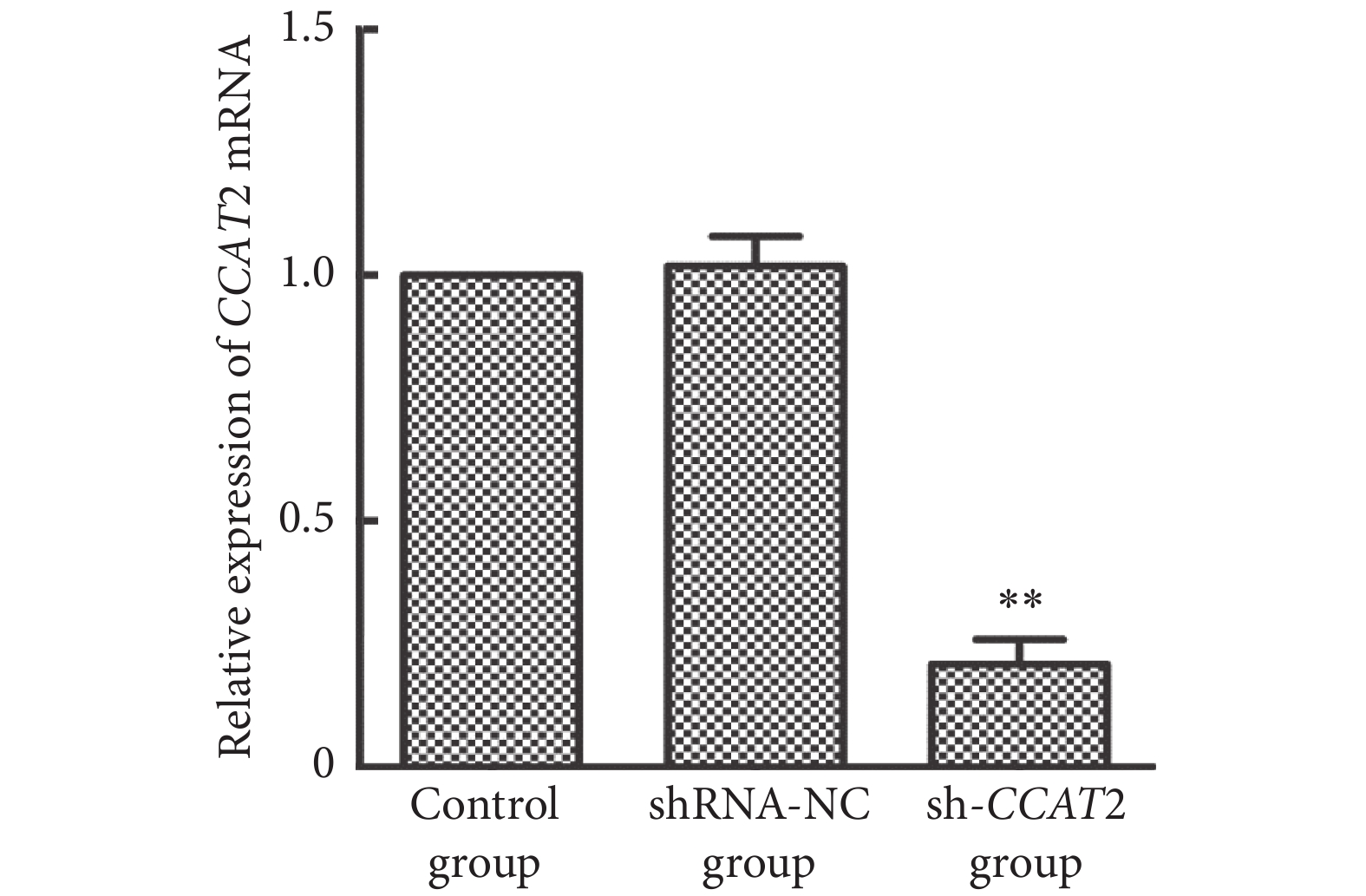 shRNA沉默 CCAT 2对非小细胞肺癌耐顺铂细胞A549的影响