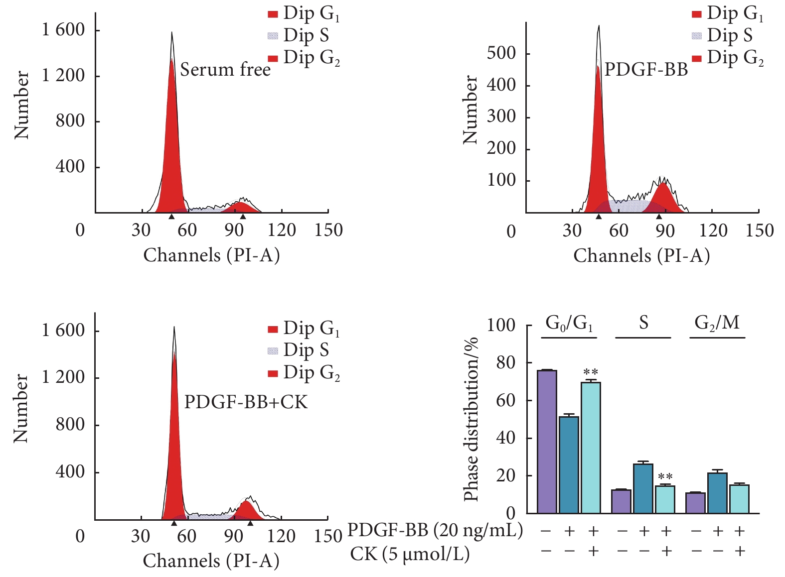 人参皂苷CK对PDGF-BB诱导的肺动脉平滑肌细胞增殖和表型转换的影响及机制