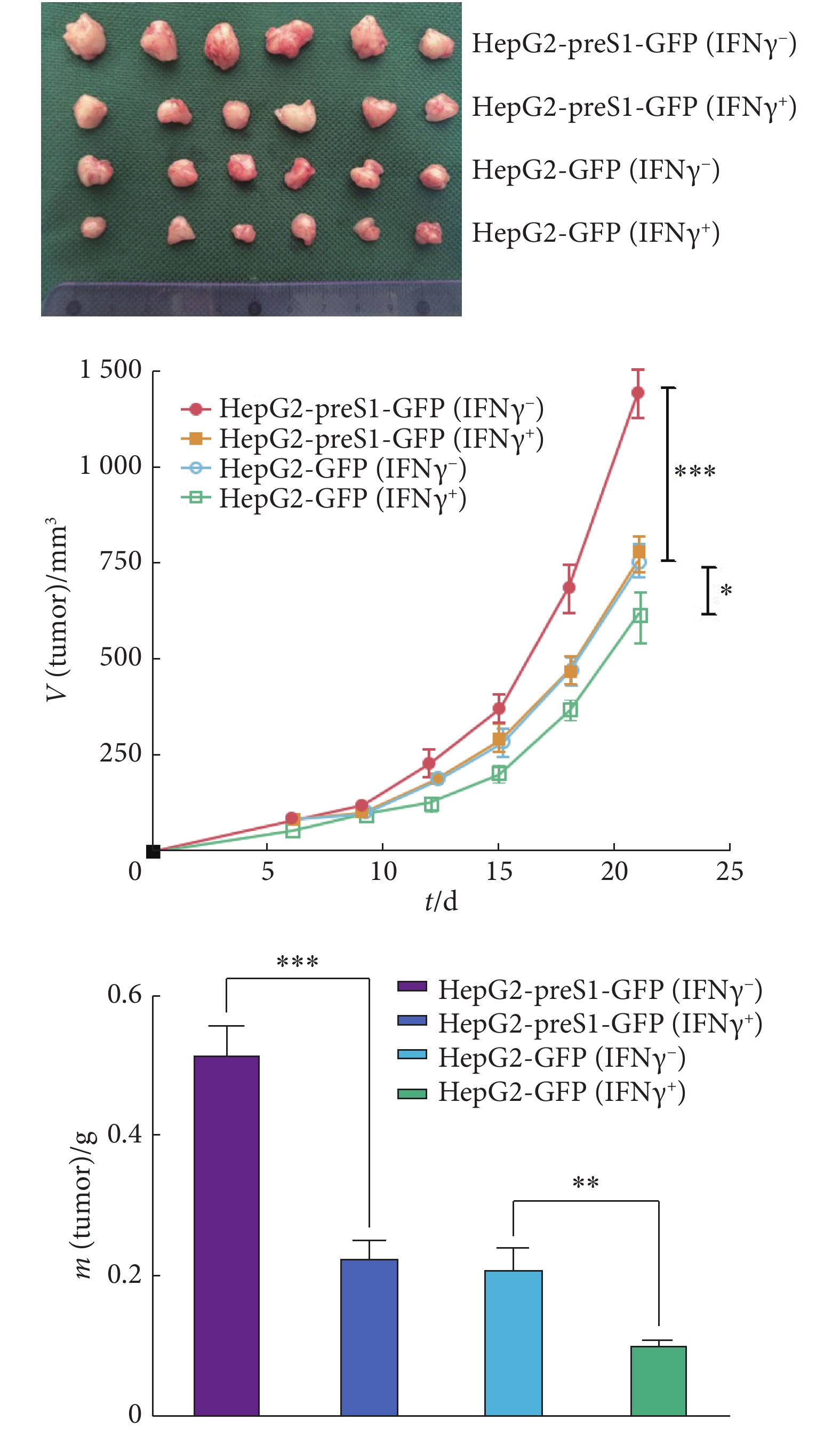 HBV前S1抗原下调肝细胞表面MHC-Ⅰ并促进肝癌产生