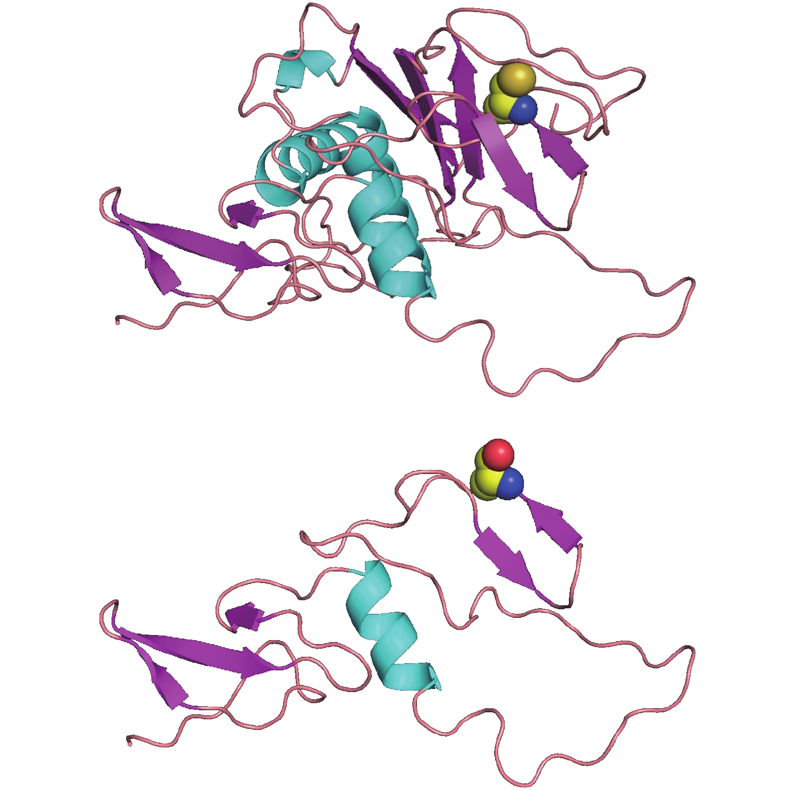 先天性簇绒肠病 EpCAM 基因复合杂合突变（c.491+1G>A；c.352_353ins CACC）1例报告