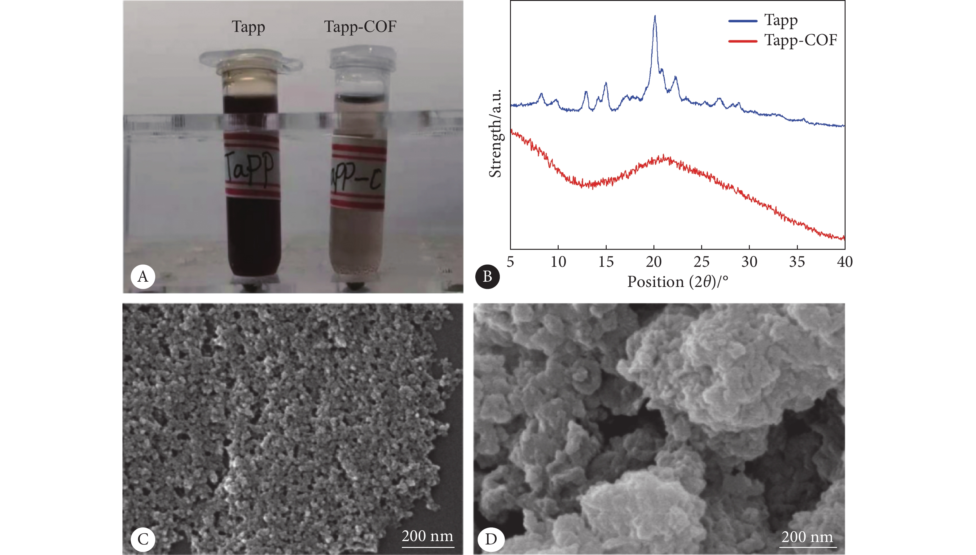 一种自聚集性卟啉基光敏剂纳米胶束用于光动力疗法