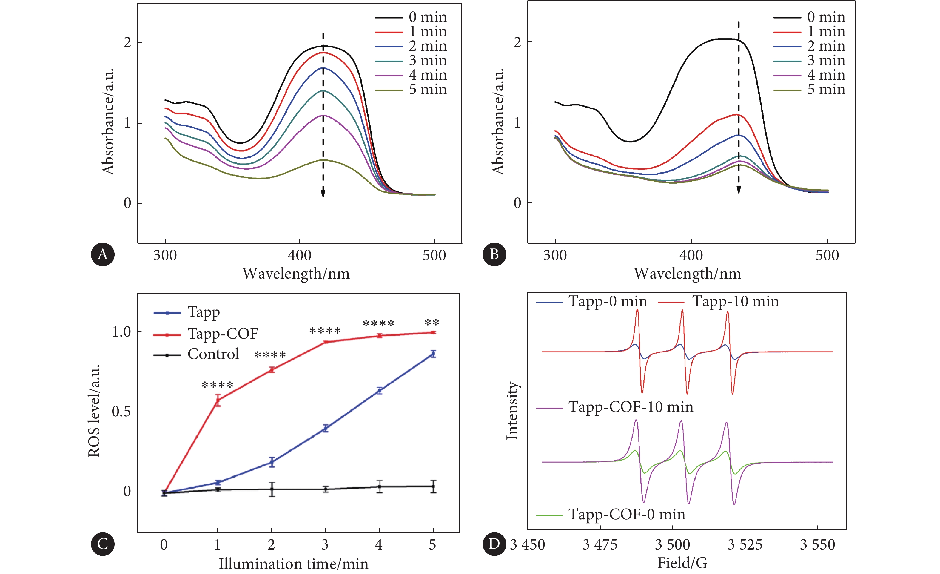 一种自聚集性卟啉基光敏剂纳米胶束用于光动力疗法