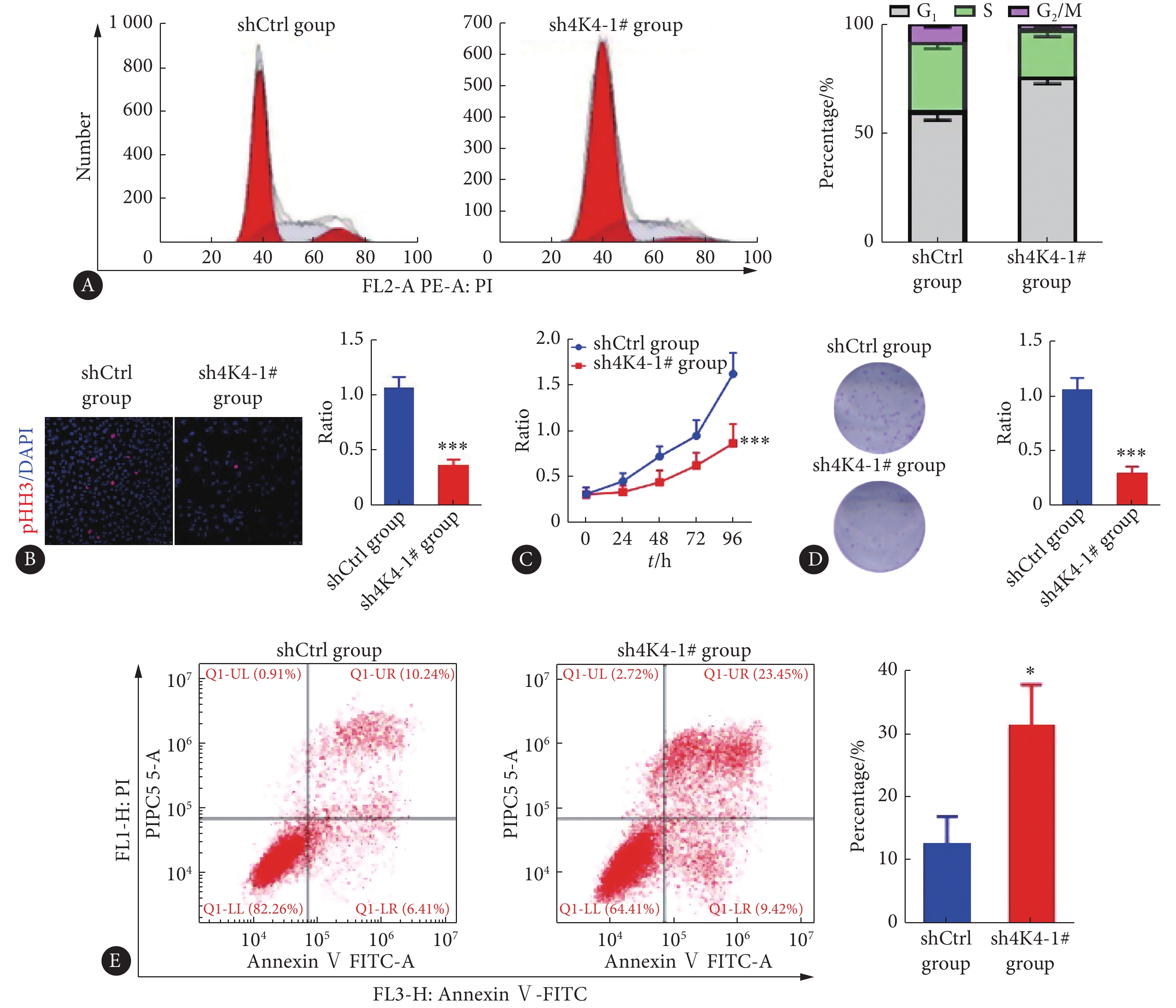 建立稳定敲减 MAP 4 K 4表达的A549细胞系及初步分析