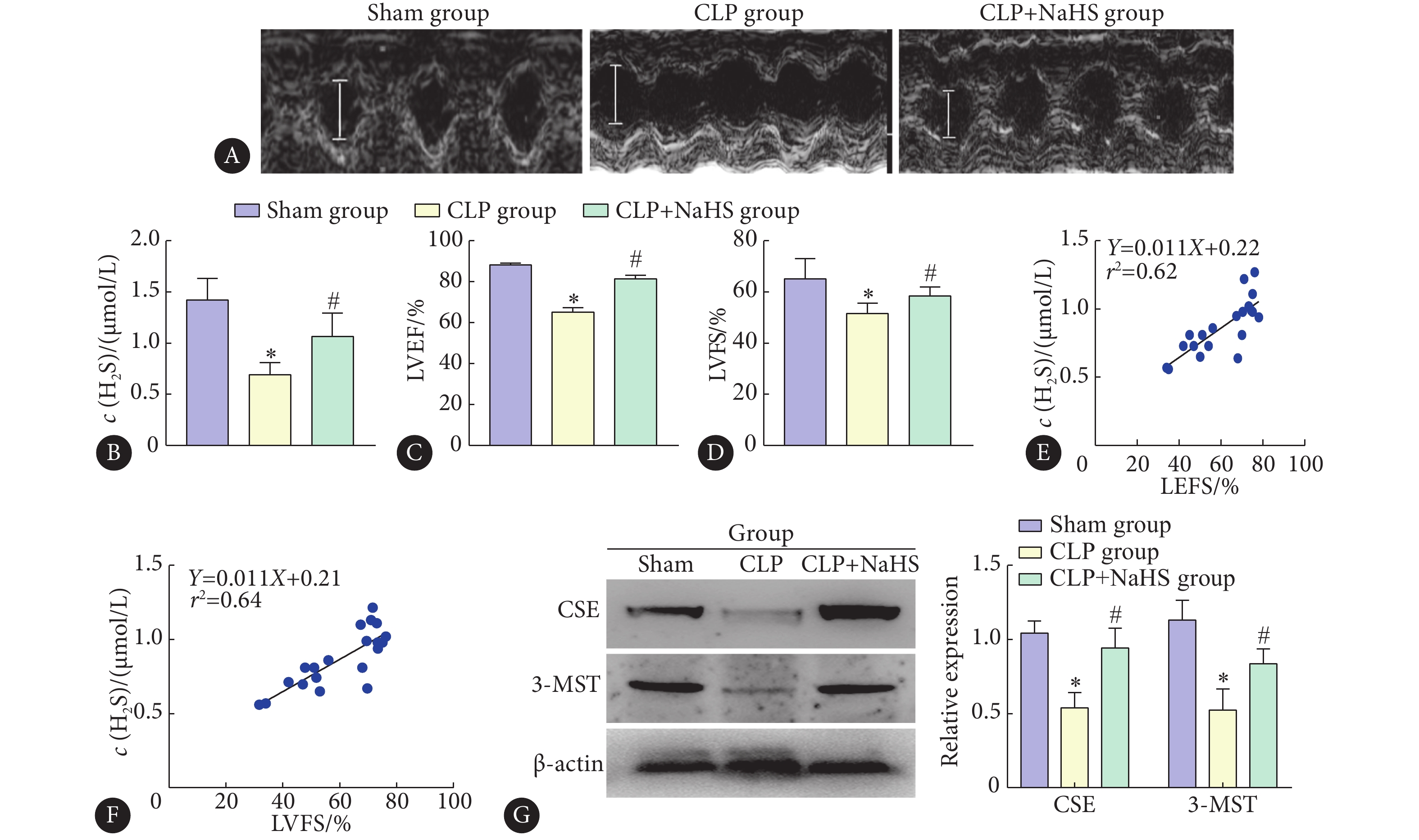 硫化氢通过抑制ROS介导的内质网应激改善脓毒症心肌损伤的研究