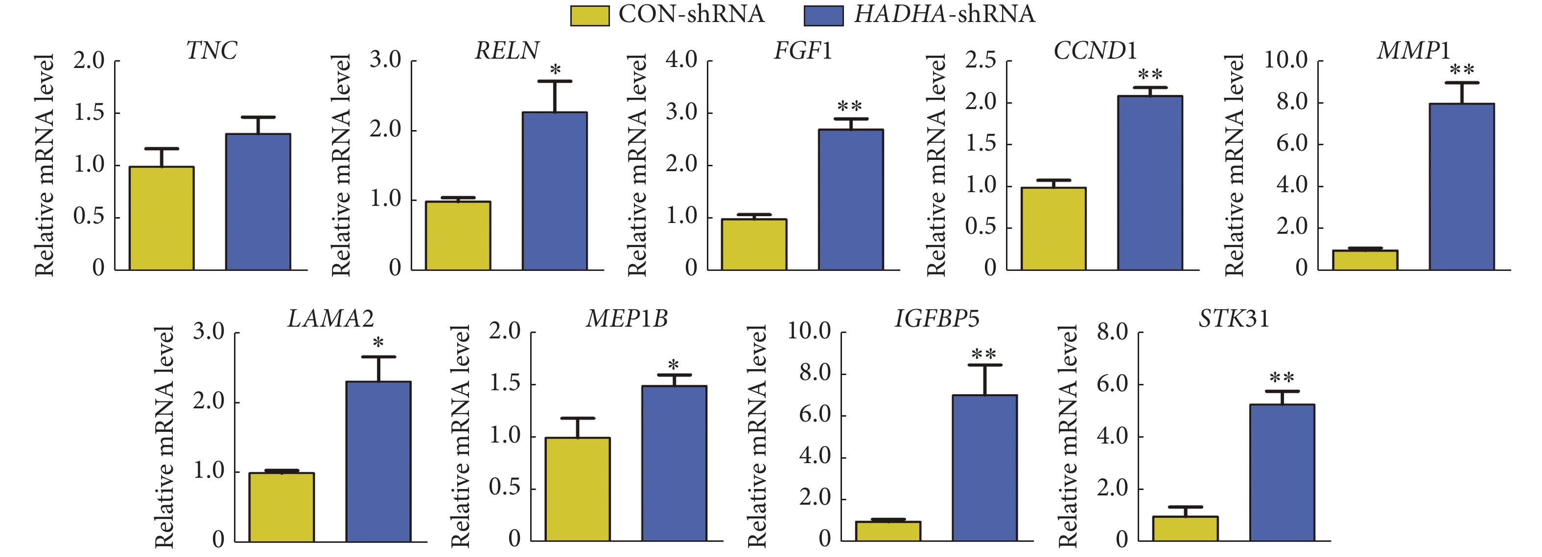 HADHA通过调节PI3K/AKT信号通路抑制人绒毛膜滋养细胞HTR-8/SVneo迁移与侵袭