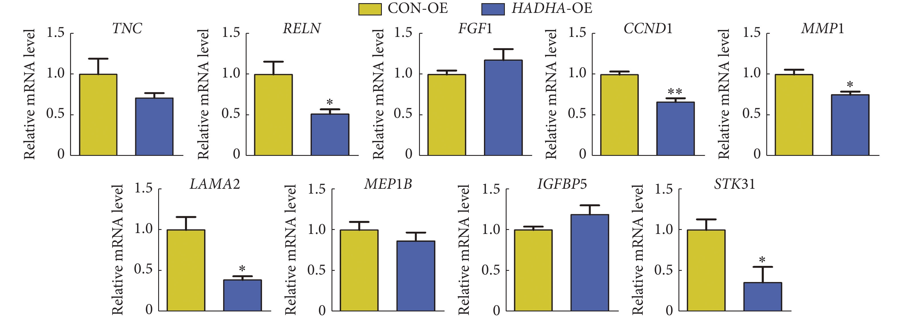 HADHA通过调节PI3K/AKT信号通路抑制人绒毛膜滋养细胞HTR-8/SVneo迁移与侵袭