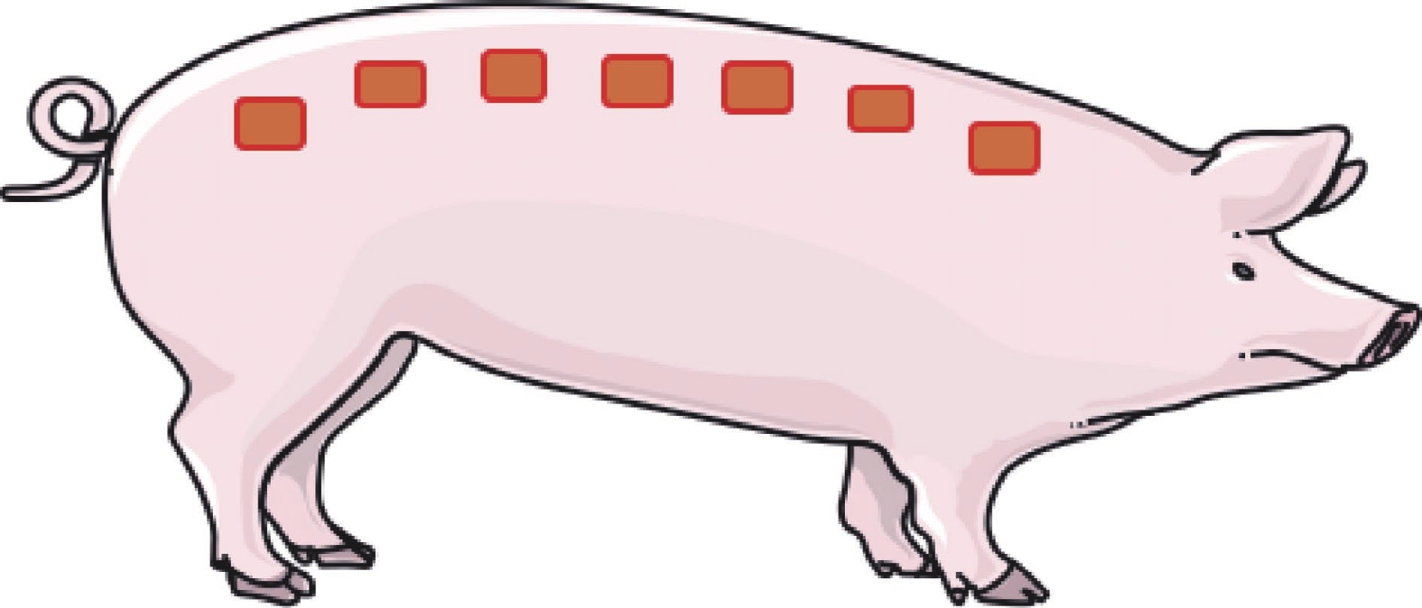 Experimental Study of Using Aloe Vera Gel to Treat Diabetic Chronic ...