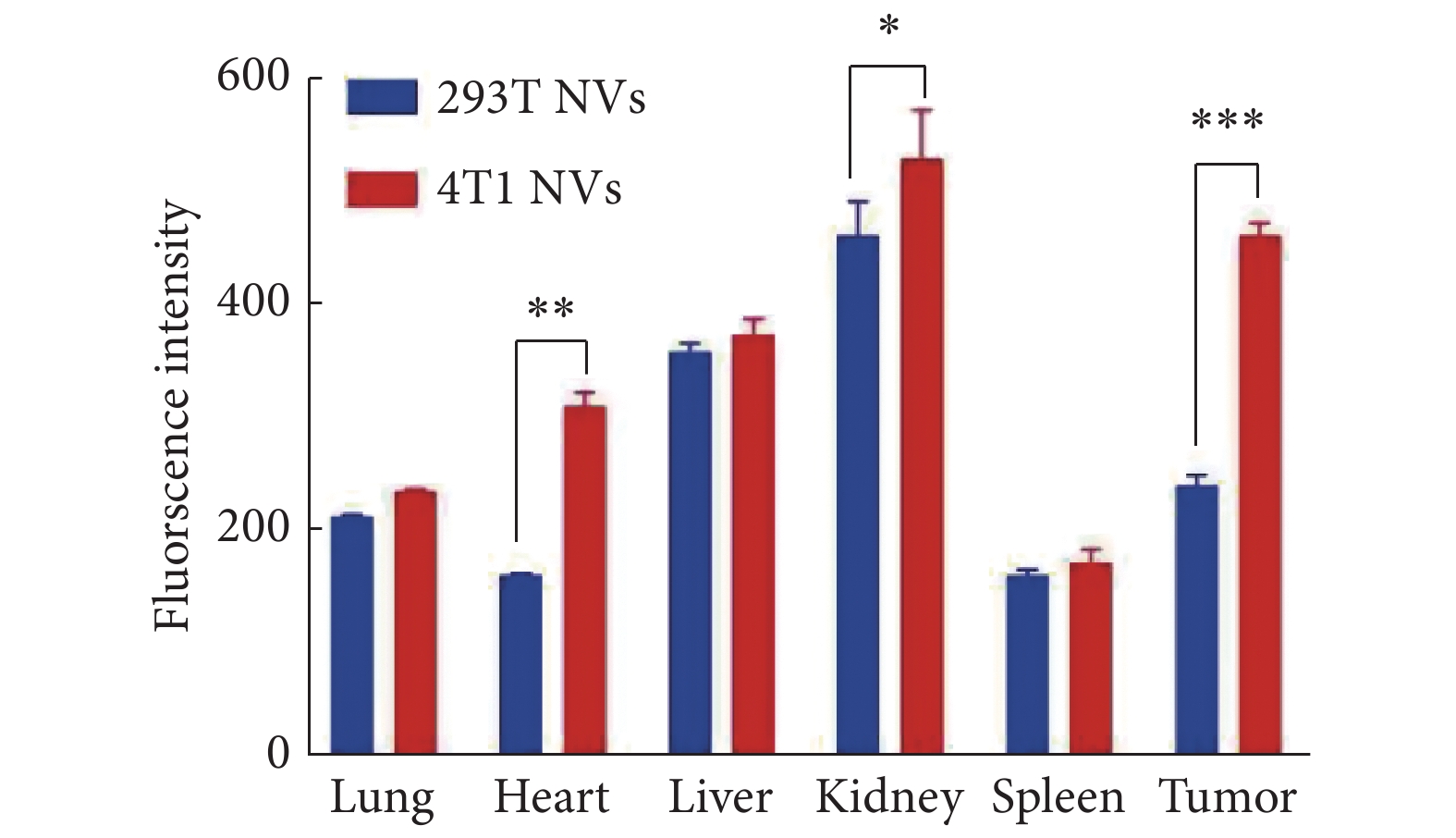 乳腺癌细胞来源的细胞膜纳米囊泡制备及靶向特性