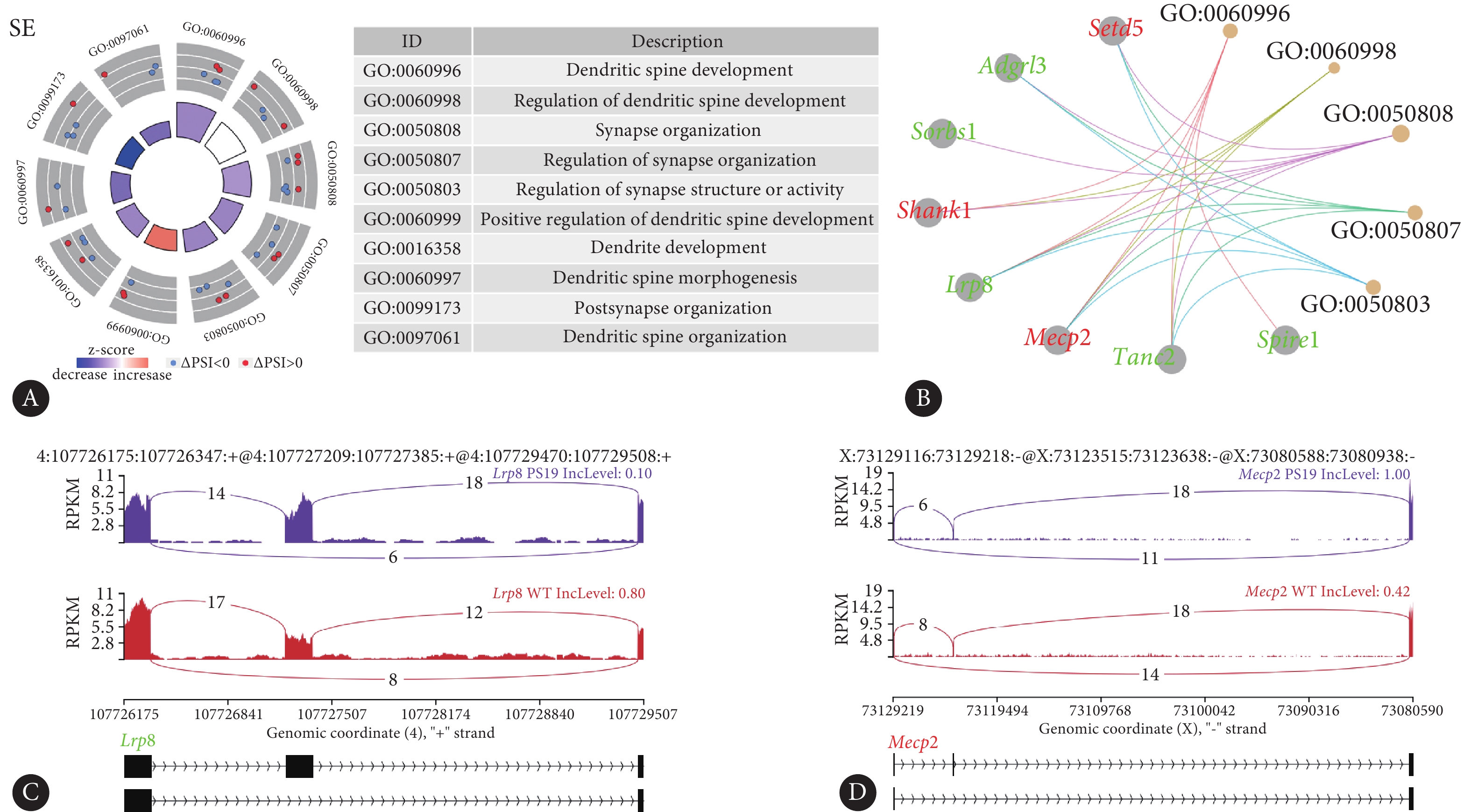 Tau Protein Induces Aberrant Alternative Splicing Changes in PS19 ...