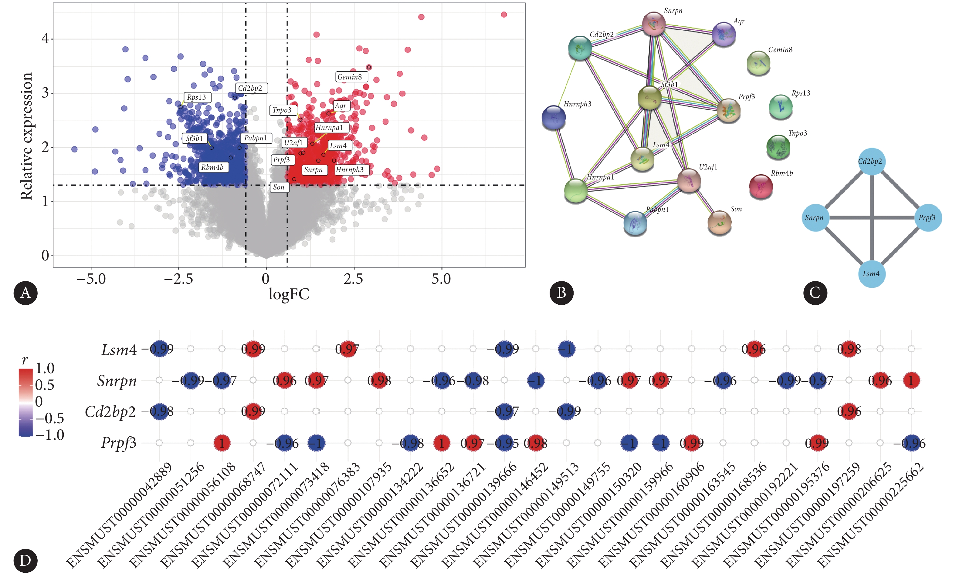 tau蛋白在PS19转基因小鼠中诱导异常的选择性剪切变化
