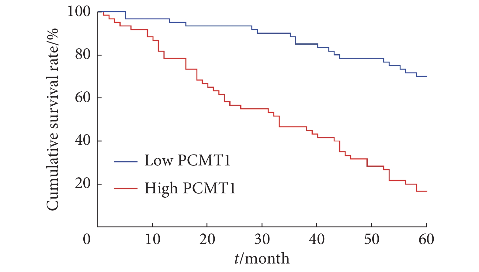 胃癌中PCMT1表达的预后价值及其对纺锤体组装检查点的调控作用